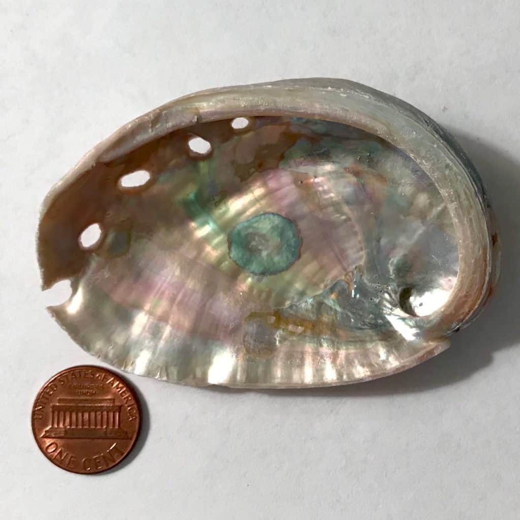 Sacral Chakra (Inspire) Stick Incense - Inspirit Crystals